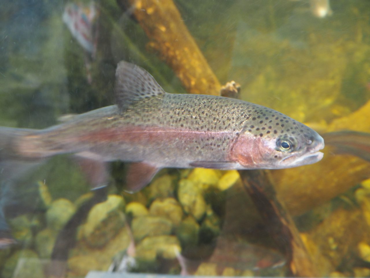 Case studies | CERES